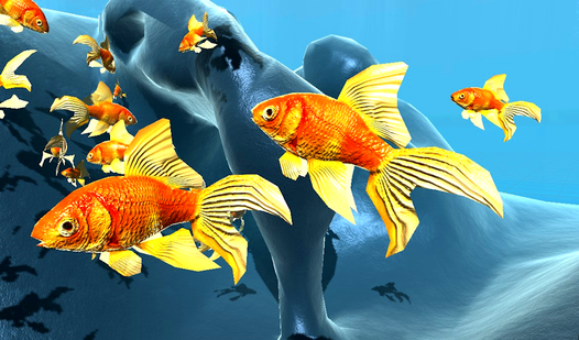 Ocean 3D: Goldfish (by BRL Games): Play Online For Free On JuegoCasa